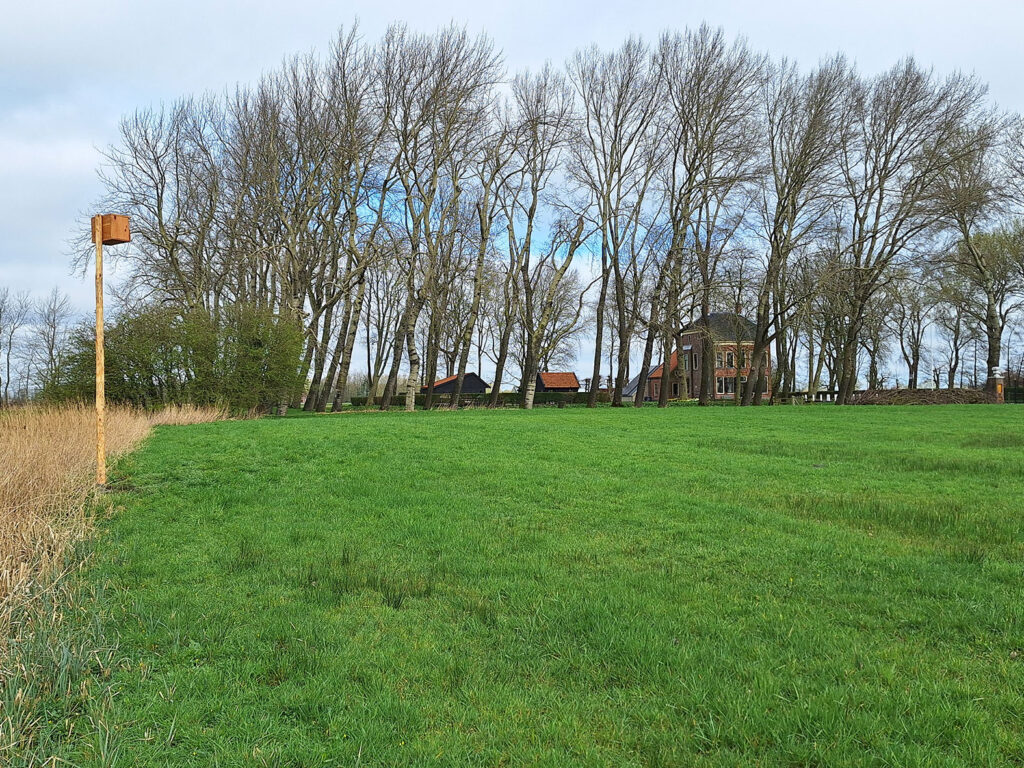 Torenvalkkast op landgoed Ekestein – De Rode Wiekel